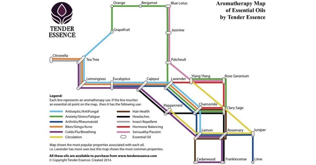 Download & Keep: Aromatherapy Map of Essential Oils – Tender Essence